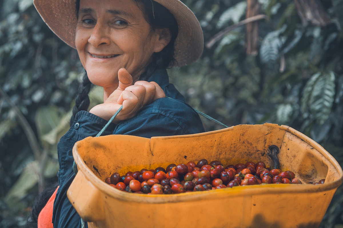 The Benefits of Single-Origin Coffees – Lovez Coffee