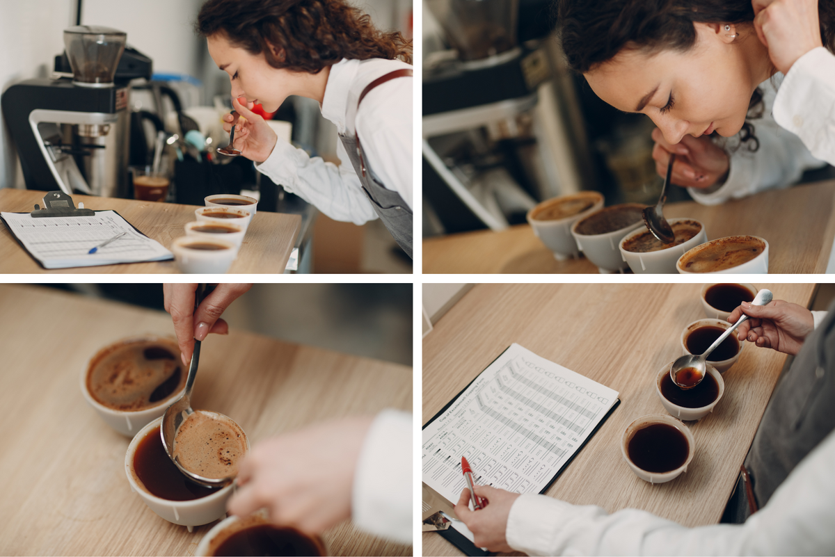 Coffee Tasting 101: Developing Your Palate – Lovez Coffee